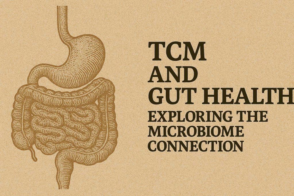TCM and Gut Health: Exploring the Microbiome Connection – TCMCN